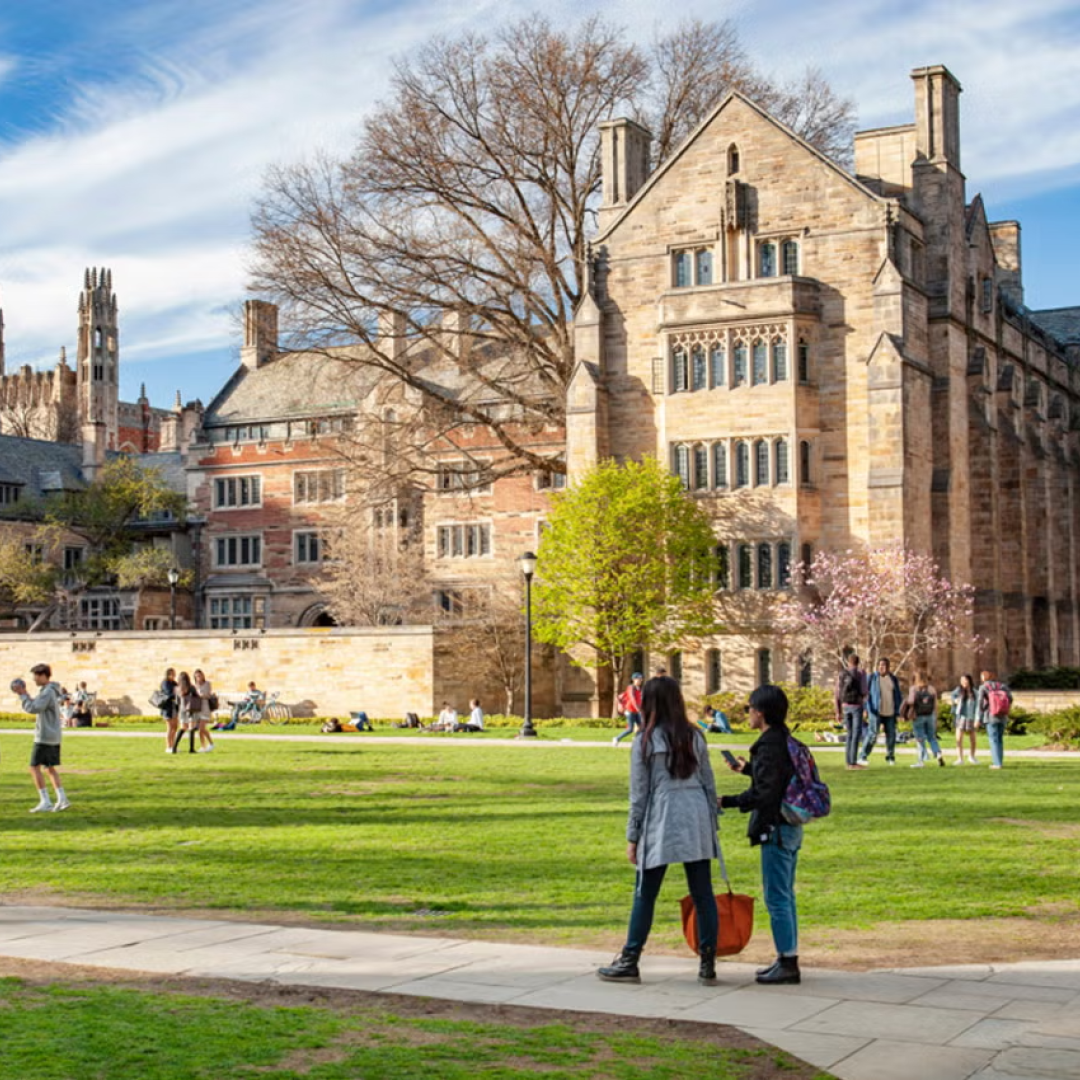 Yale University | International Festival of Arts and Ideas
